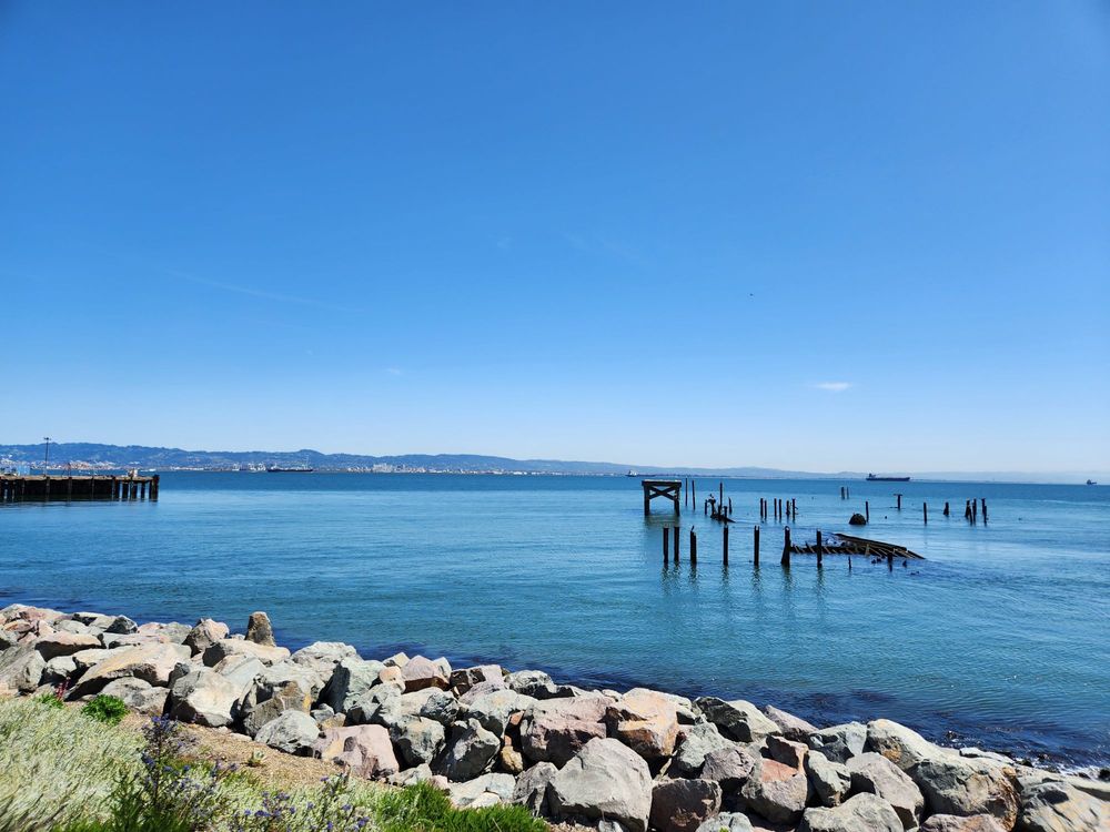 BAYFRONT PARK - Updated September 2025 - 15 Photos - 16th St & Terry A ...