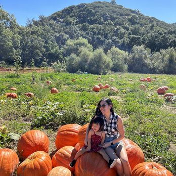 BATES NUT FARM - Updated September 2024 - 1670 Photos & 515 Reviews ...