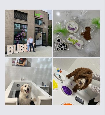 BUBBLY PAWS - Updated January 2026 - 44 Photos & 24 Reviews - 141 New ...