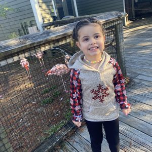 EMBERWOOD FARM - 2619 Ash Little River Rd NW, Ash, North Carolina ...