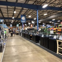 That Fish Place - That Pet Place - 88 Photos & 80 Reviews - Pet ...