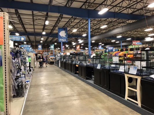 That Fish Place - That Pet Place - VISIT NOW - 83 Photos & 75 Reviews ...