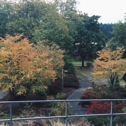 FIRCREST DSHS - 15230 15th Ave NE, Shoreline, WA - Yelp