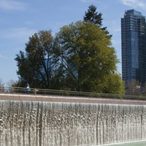 PROPVIVO - Updated January 2026 - 34 Photos & 67 Reviews - 2018 156th ...