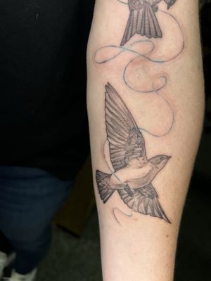 EVOLVED BODY ART - Updated December 2025 - 273 Photos & 174 Reviews ...