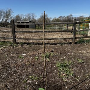 BURNT RIDGE NURSERY & ORCHARDS - Updated July 2025 - 10 Photos & 61 ...