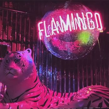 THE FLAMINGO BAR - Updated November 2024 - 41 Photos & 34 Reviews ...