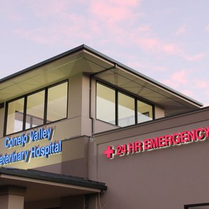 SLATON VETERINARY HOSPITAL - Updated December 2025 - 102 Photos & 191 ...