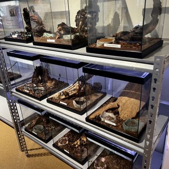 K-STATE INSECT ZOO - Updated November 2025 - 22 Photos & 12 Reviews ...