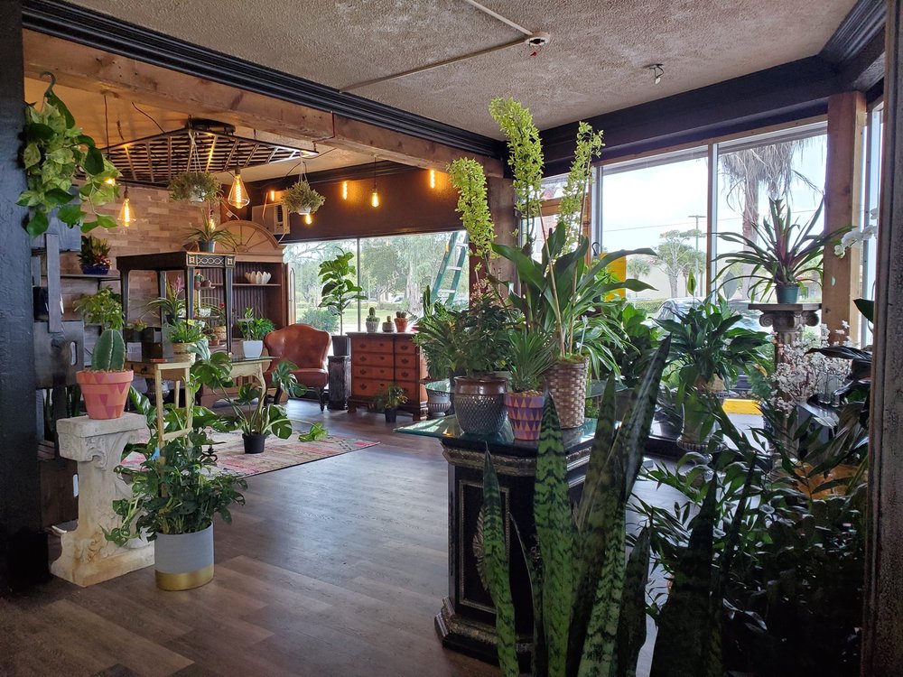 BLOOM HOUSE FLORIST & BAZAAR - Updated April 2024 - 47 Photos & 10 ...