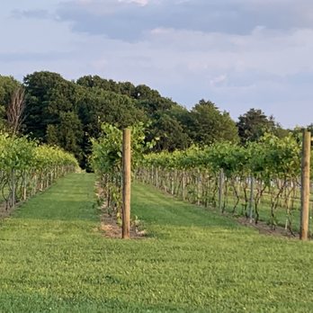 HAWK RIDGE WINERY - Updated August 2025 - 379 Photos & 180 Reviews - 28 ...