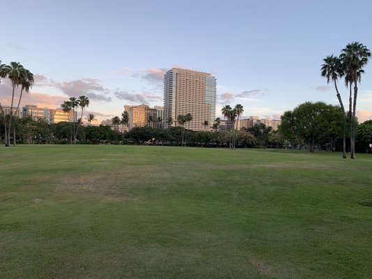 KURODA FIELD - 34 Photos - 2055 Kalia Rd, Honolulu, Hawaii - Parks - Yelp