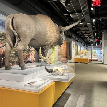 MORRILL HALL - Updated December 2025 - 87 Photos & 34 Reviews - 645 N ...