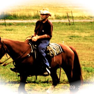 WILCO FARM STORE - EUGENE - Updated December 2024 - 4818 W 11th Ave ...