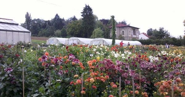 PAUL PANZER - Updated March 2024 - Werner-Sylten-Str. 12, Bad Köstritz ...