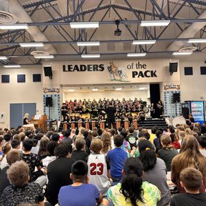 AMPLUS ACADEMY - Updated October 2025 - 14 Photos & 17 Reviews - 8377 W ...