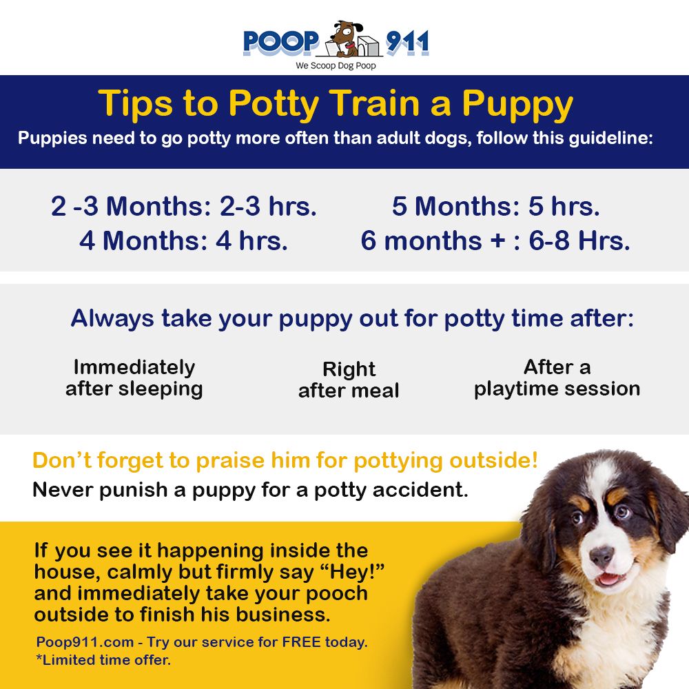 POOP 911 - PORT ST LUCIE - Updated November 2024 - Request a Quote - 10 ...