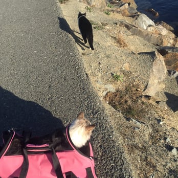 CAT JETTY - Updated June 2025 - 157 Photos & 14 Reviews - 2510 Quivira ...