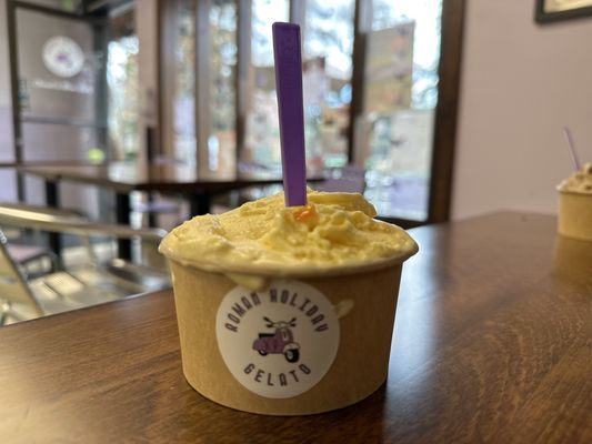 ROMAN HOLIDAY GELATO - Updated June 2025 - 34 Photos & 25 Reviews ...