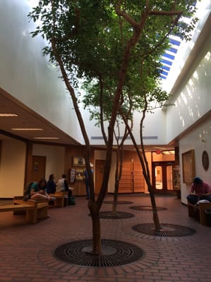 NOEL WIEN PUBLIC LIBRARY - Updated December 2025 - 26 Photos - 1215 ...