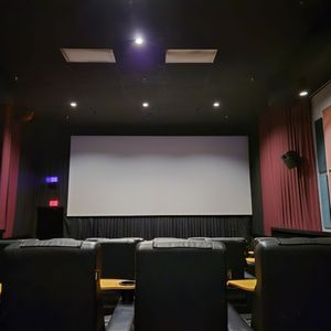 CINEMARK CHESAPEAKE SQUARE AND XD - Updated June 2025 - 122 Photos & 65 ...