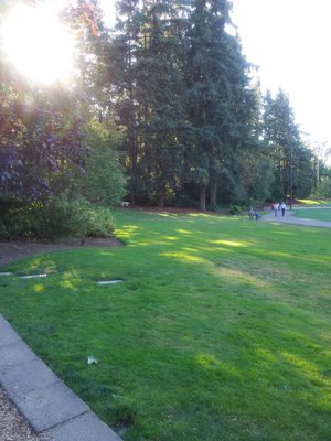 ROBINSWOOD PARK - 23 Photos & 34 Reviews - Parks - 2430 148th Ave SE ...