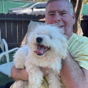 FRESNO HUMANE ANIMAL SERVICES - Updated November 2024 - 16 Photos & 11 ...