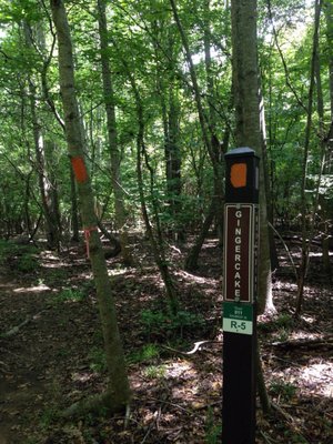 THE RIDGE NATURE AREA - Updated December 2025 - 13 Photos - 415 Burch ...