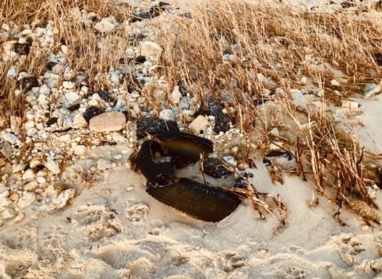 MOORE’S BEACH - Updated August 2025 - 26 Photos - Moore's Beach ...