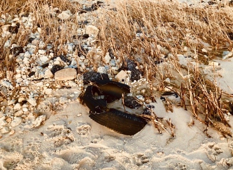 MOORE’S BEACH - Updated October 2025 - 26 Photos - Moore's Beach ...