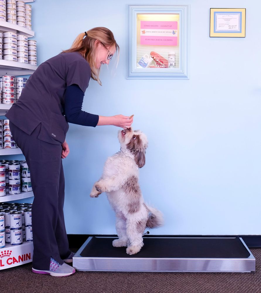 UNION HILL ANIMAL HOSPITAL - 49 Photos & 49 Reviews - 3025 Main St ...