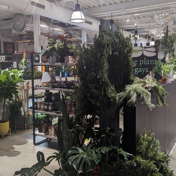 THE PLANT GAYS - Updated December 2025 - 71 Photos & 20 Reviews - 212 ...