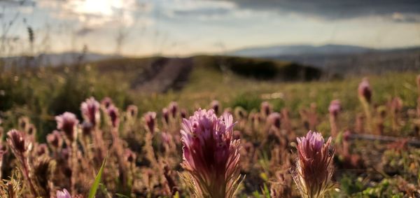 CITY OF SAN RAMON - Updated June 2025 - 43 Photos & 23 Reviews - 6200 ...