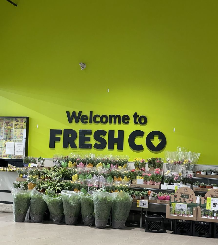 FRESHCO - Updated September 2024 - 26 Photos - 410 Bathurst Street ...