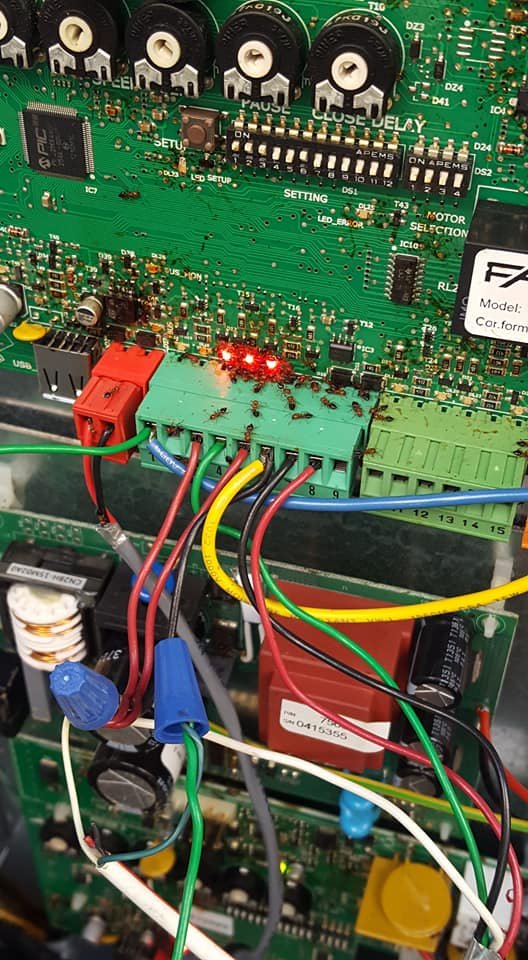 STEALTH PEST SOLUTIONS - Forney, Texas - Updated October 2024 - Request ...