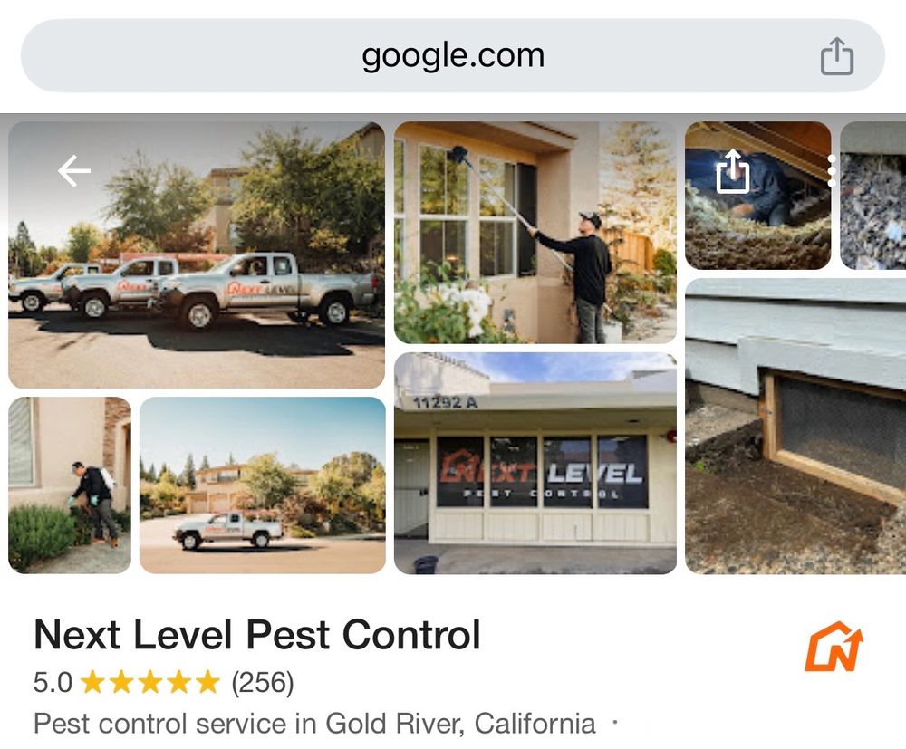 NEXT LEVEL PEST CONTROL - Updated October 2025 - 11292 Coloma Rd, Gold River, California - Pest ...