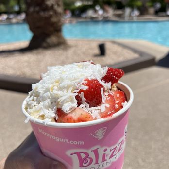 BLIZZ FROZEN YOGERT & DESSERTS - Updated July 2024 - 82 Photos & 81 ...