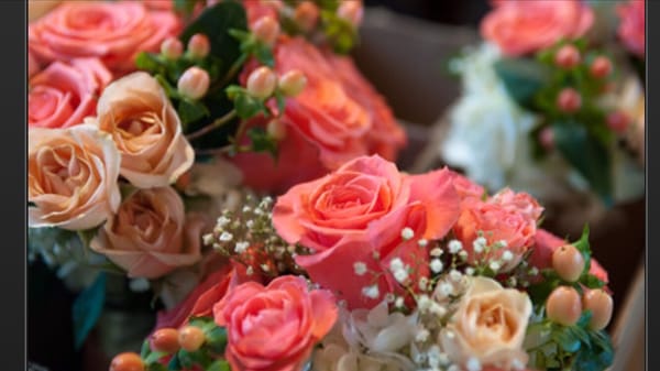 DAVID’S FLOWERS - Updated January 2026 - 11 Photos & 20 Verified ...