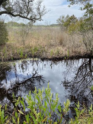 BACK BAY NATIONAL WILDLIFE REFUGE - Updated May 2024 - 248 Photos & 30 ...