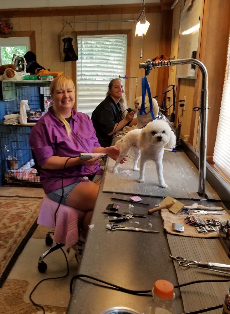 A-CUT-ABOVE GROOMING SALON - Updated August 2025 - 30 Photos - 10345 W ...