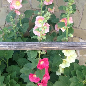 GOLDEN EAGLE RV PARK - Updated December 2025 - 27 Photos & 15 Reviews ...