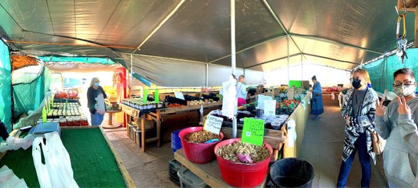 GONZALEZ PRODUCE - Updated December 2025 - 7870 US-95, Yuma, Arizona ...