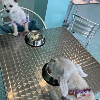 SALTY PAWS - Updated October 2025 - 69 Photos & 22 Reviews - 121 N ...