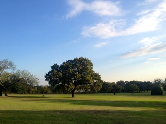 ROCKWOOD GOLF COURSE - Updated January 2026 - 10 Photos & 24 Verified ...