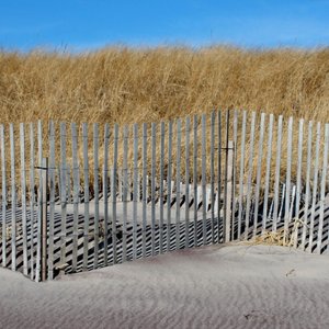 MECOX BEACH - 20 Photos - Jobs Ln, Bridgehampton, NY - Yelp