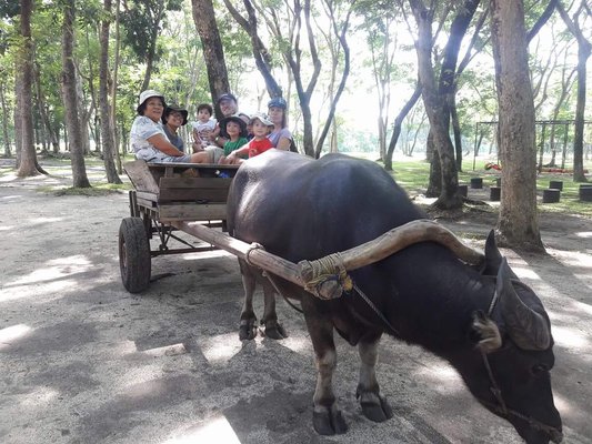 STA. ELENA FUN FARM - Updated October 2025 - 22 Photos - Cabuyao, Santa ...