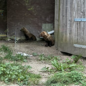 STONE ZOO - Updated September 2025 - 239 Photos & 213 Reviews - 149 ...