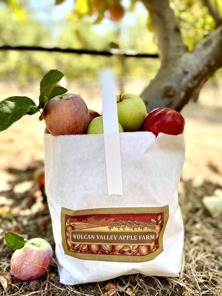 VOLCAN VALLEY APPLE FARM - Updated September 2024 - 249 Photos & 131 ...