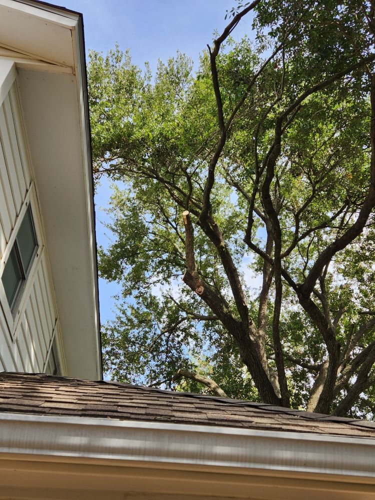 THE ARBOR KING - Updated January 2025 - Request a Quote - 17 Photos ...