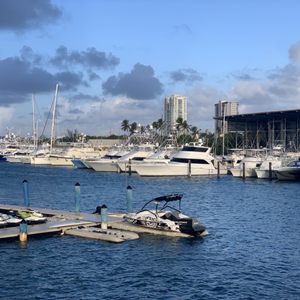 SAFE HARBOR PUERTO DEL REY - Updated December 2025 - 31 Photos ...